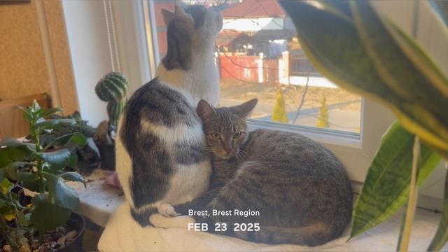 ЯНВАРЬ-МАРТ 2025 #1SE #1SecondEveryday