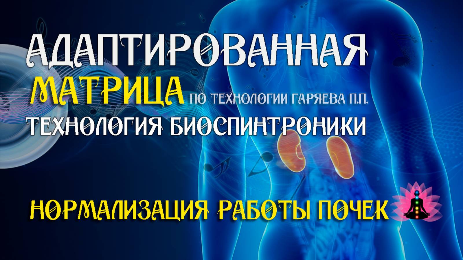 Нормализация работы почек 🎶 программа матрица по технологии Гаряева П.П ☀️ SoftRadio.ru