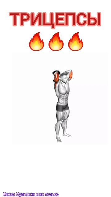 Техника выполнения 💥 Экстензия трицепсов над головой • Гантели  ✅️ 💪🙂