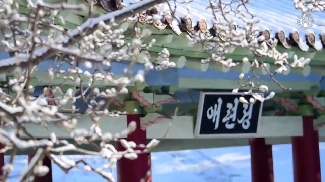 Сопка Моран зимой. КНДР.