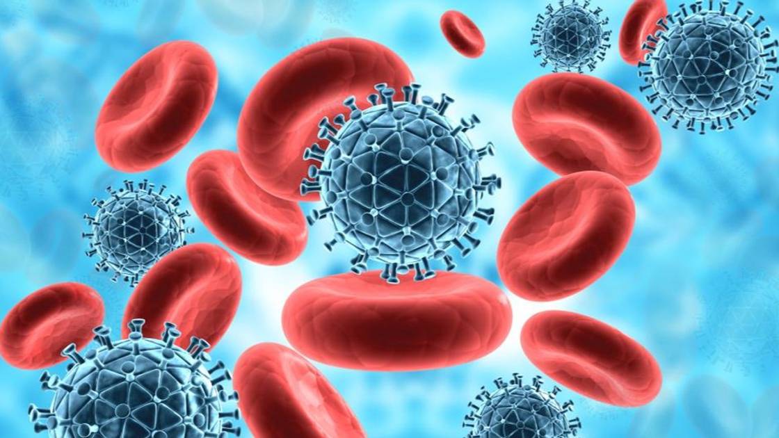 Восстановление и укрепление иммунитета Матрица Петра Гаряева