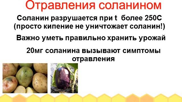 Профилактика немикробных отравлений (отравление соланином))