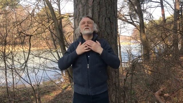 Энергия дерева и активизация чакр