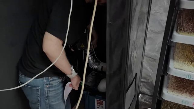 Пропагатор / питиум / микрозелень / аэропоника