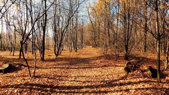 Музыка для сна, музыка релакс, йога, музыка для здоровья