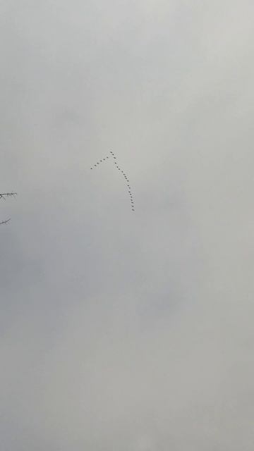 #сорожка #рыбалка