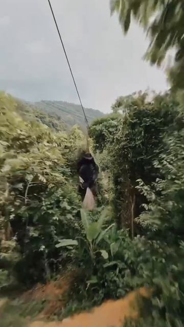 Ну я погнал🤣🫡