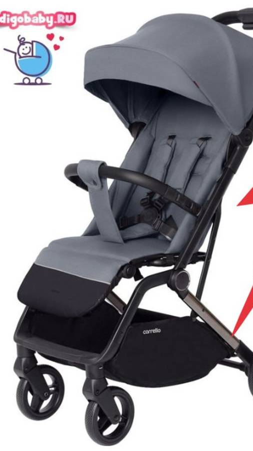 Коляска CARRELLO PORTO crl-5522❤. Смотрите видеообзор первыми!