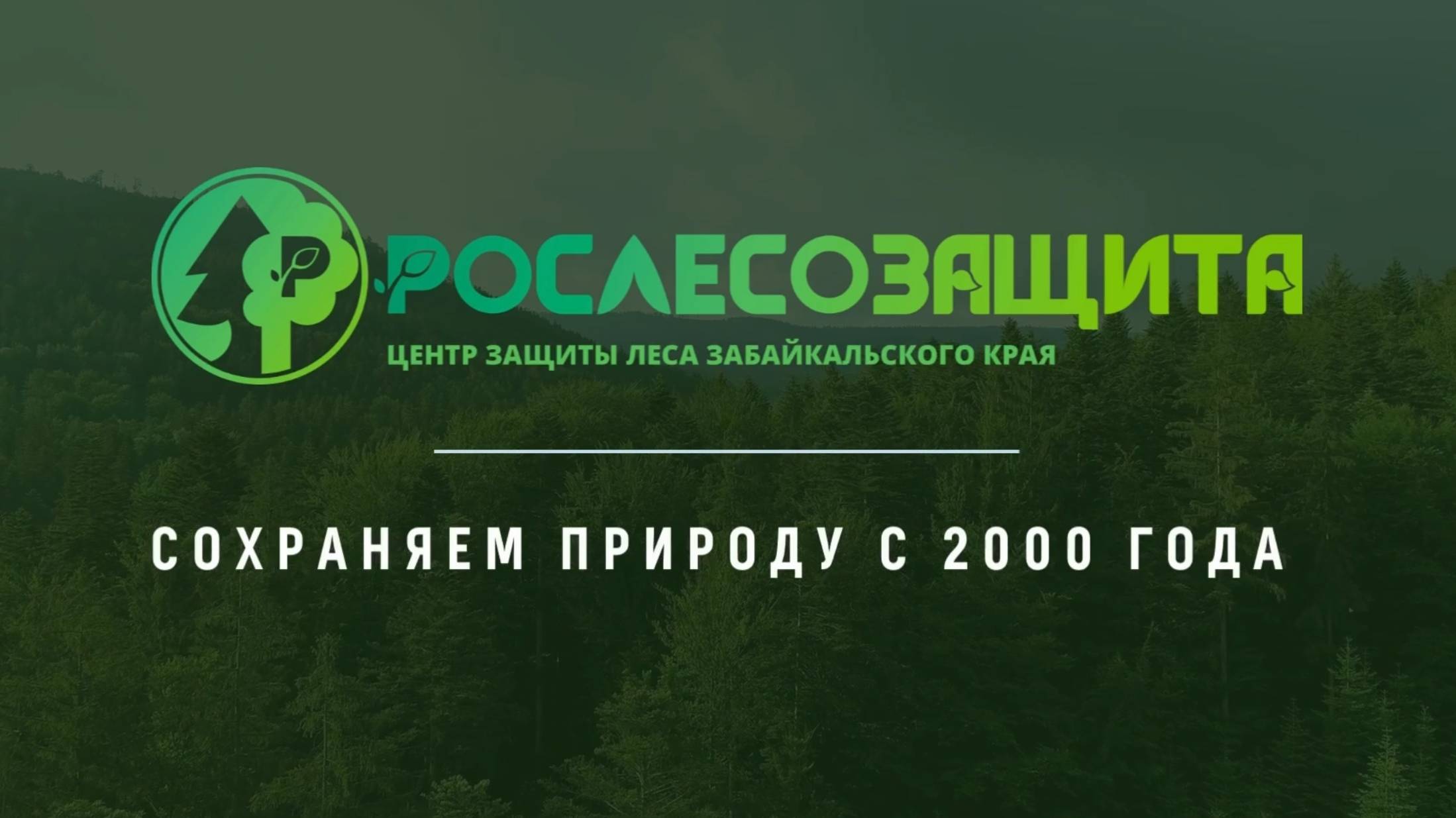 РОСЛЕСОЗАЩИТА - Сохраняем природу с 2000 года