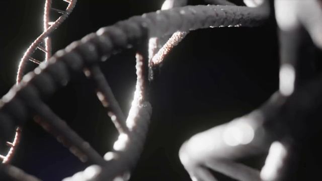 Перезагрузка с Галиной Калиловой