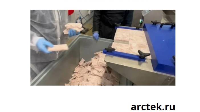 Mainali Линия распиловки замороженных блоков рыбы