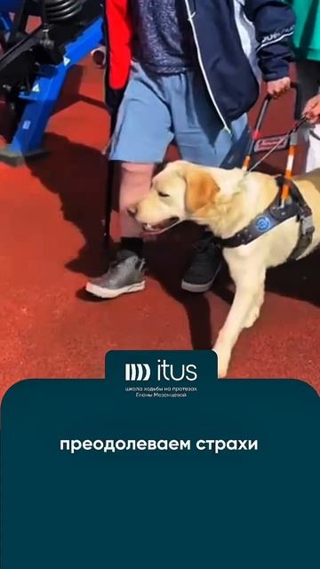 Как я провела тренировку в "Школе ходьбы на протезах Елены Мезенцевой"