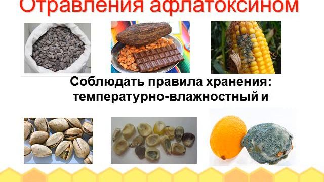 Профилактика немикробных отравлений (отравление афлатоксином)