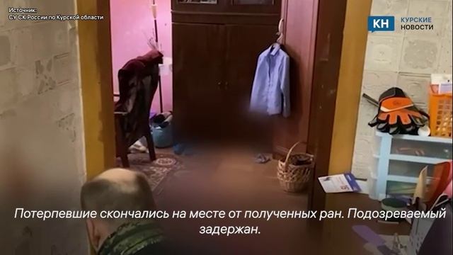 Под Курском парень убил бабушку и брата