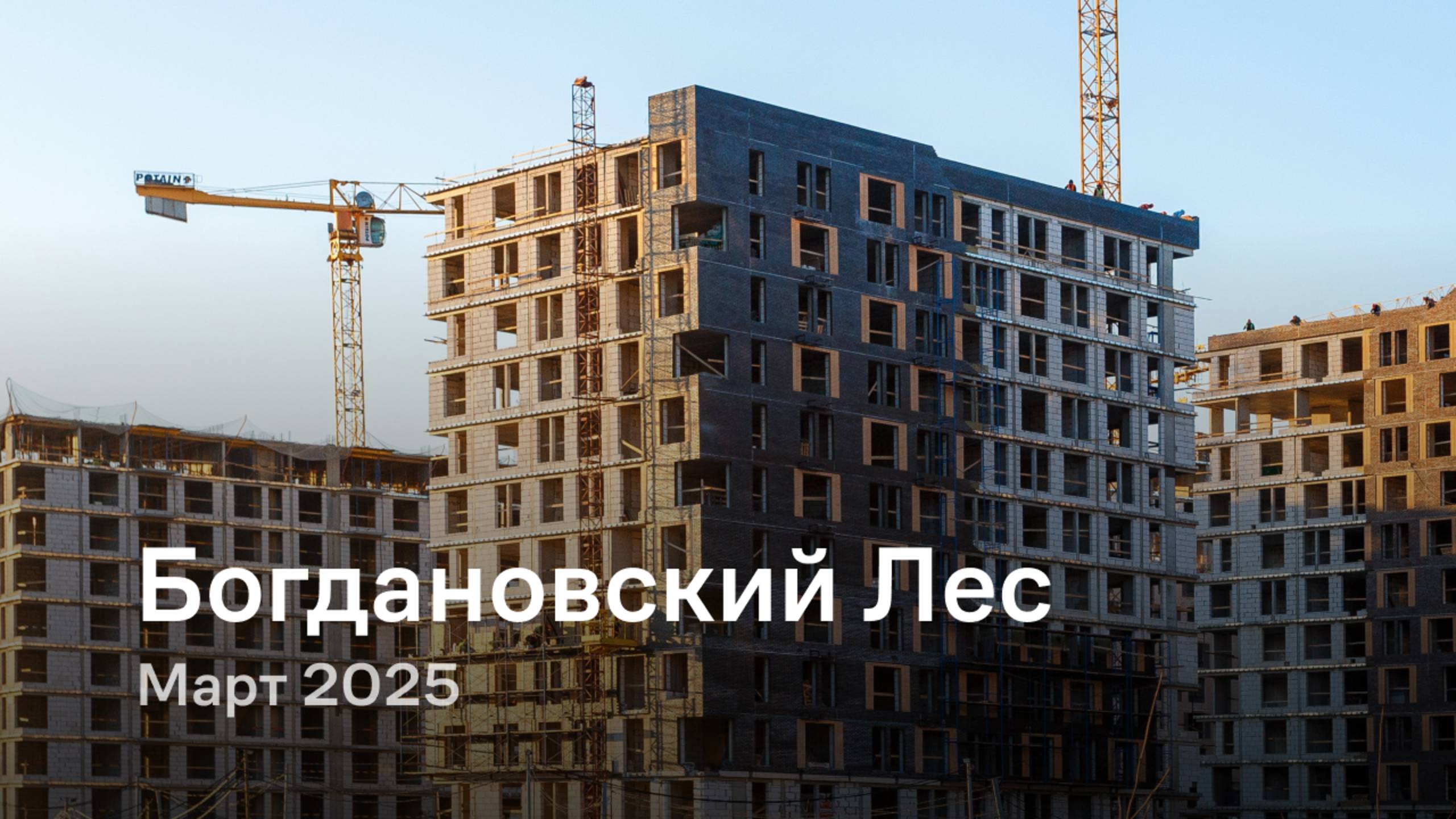 «Богдановский Лес» / Март 2025