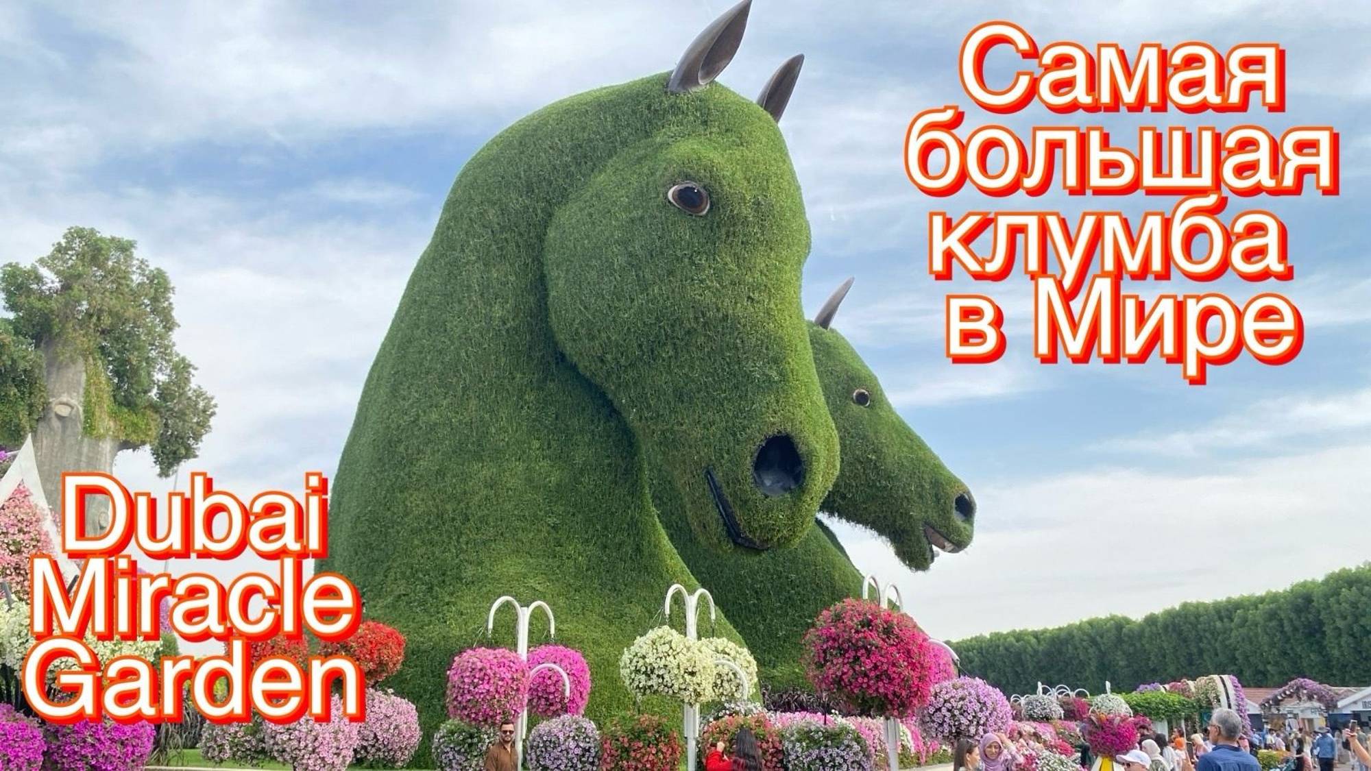 Дубайское чудо - сад цветов который каждый год новый. Dubai Miracle Garden.