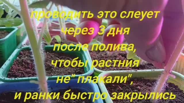 2014.  Шоковая терапия! 31.03.25 г.