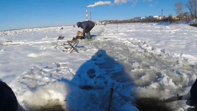 3.Ловим верхогляда. 2021