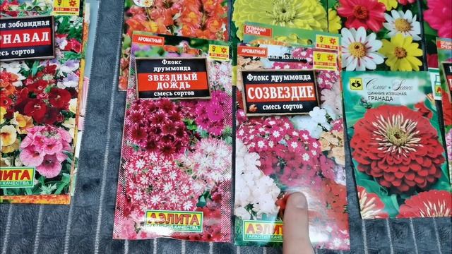 ОЧЕНЬ КРАСИВЫЕ ЦВЕТЫ ДЛЯ САДА! ОБЗОР ЛУЧШИХ СЕМЯН НА 2025 ГОД.