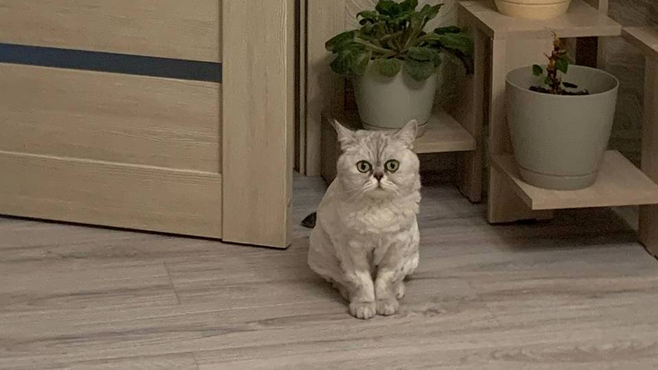 Играю-не играю