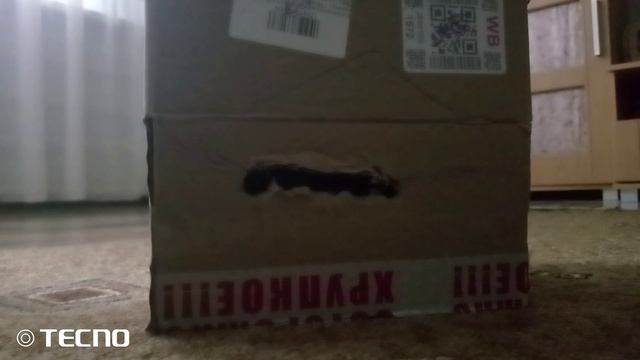 живая коробка 📦 вернулась 10