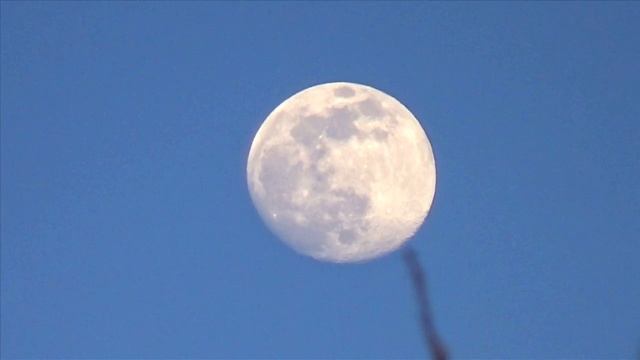 Не устаю любоваться луной!  (мои наблюдения в природе)