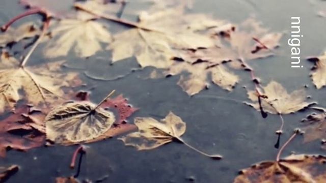 Youn Sun Nah - Jockey full of bourbon