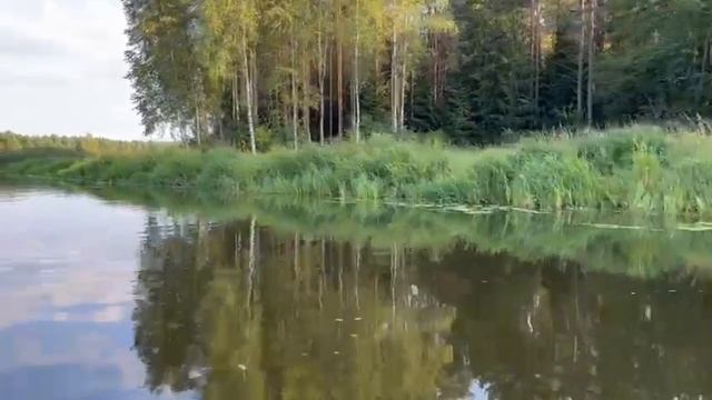 Рыбалка,отдых,дружная компания.