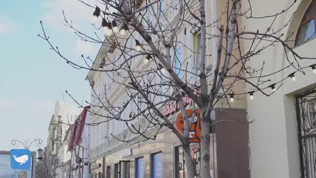 СтройКит 2 серия | Дринкит