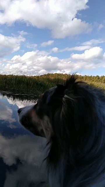 Селижаровка. Отдых,рыбалка.