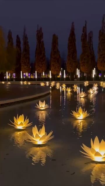 Спокойной ночи!