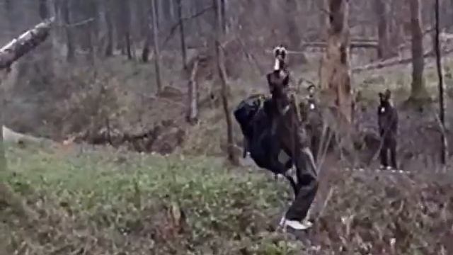 2005-05 Смотр готовности