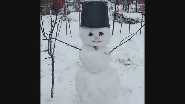 Новогодняя дача