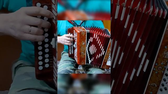 Деревенька моя! 3 аккорда и 300 песен или как быстро научиться играть на гармони урок от мастера