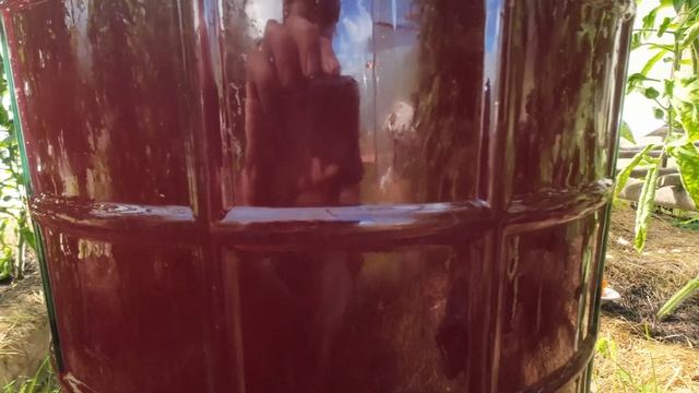 Украшение вина календулой