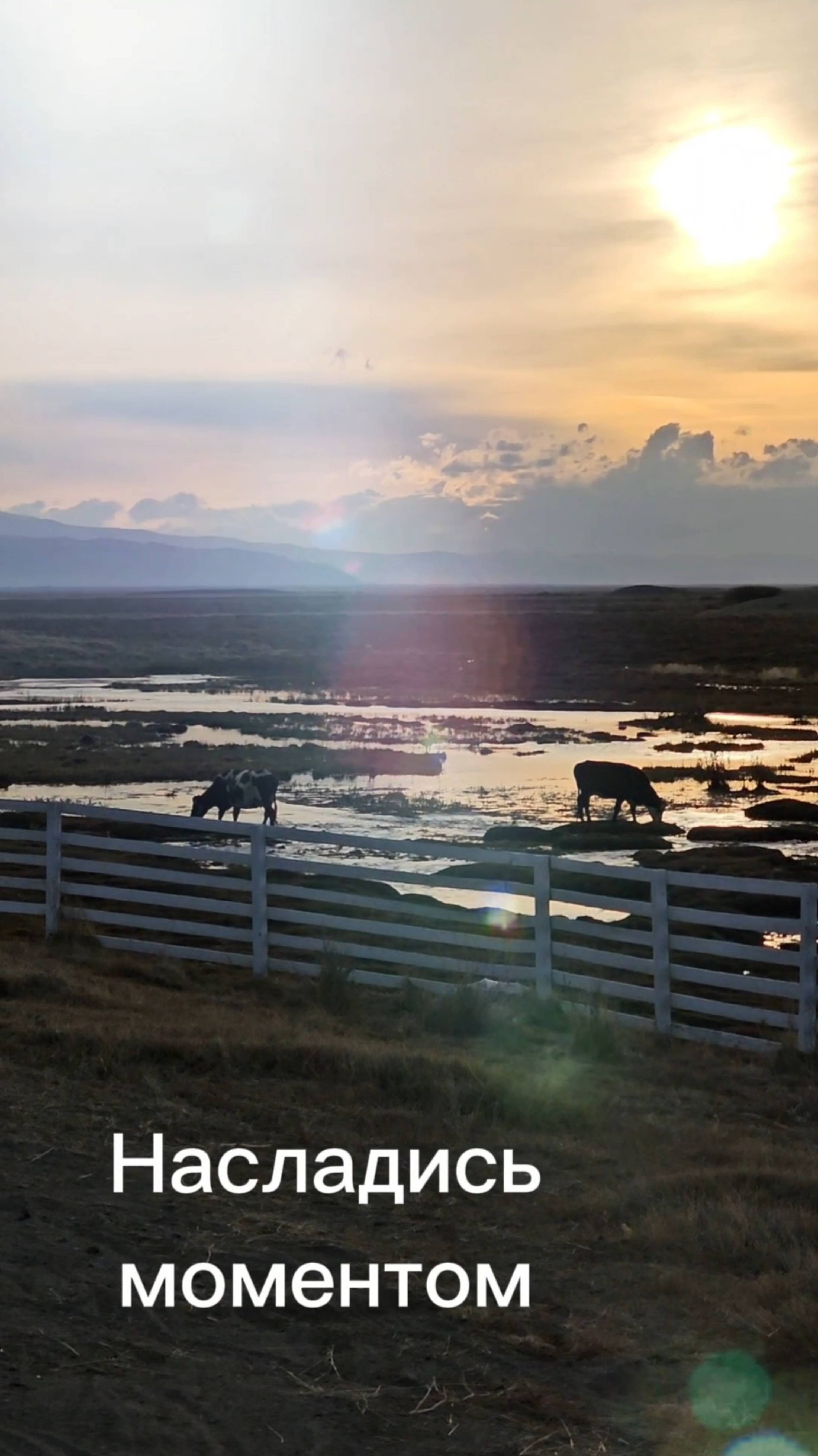 🏛Путешествовать — значит жить! ⚡️