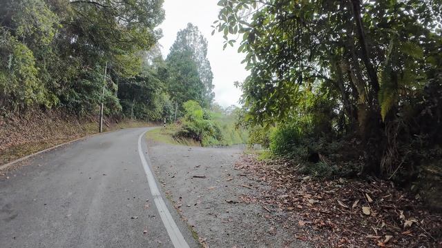 13 Malaysia, Cameron Highlands, Tanah Rata, снова красивый подъем в окрестностях