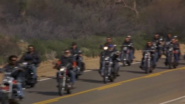 Furious zoo - Going to the Run