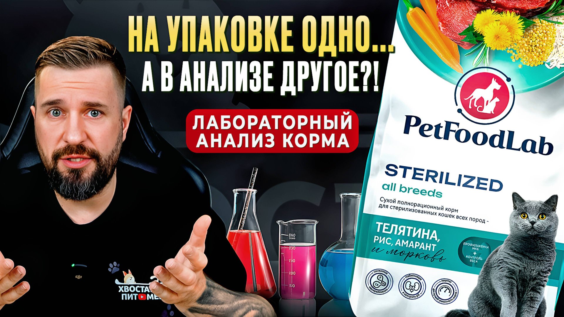 Сухой корм для кошек PetFoodLab — новинка с амарантом! Что показал лабораторный анализ?