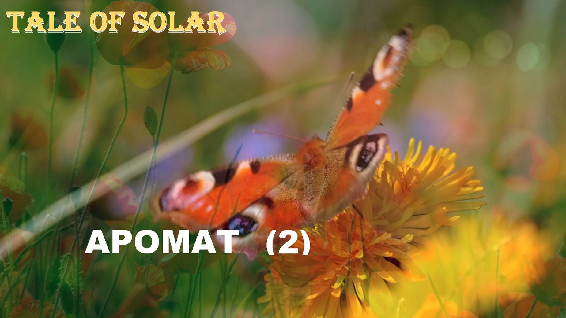 Tale of Solar – Аромат (off.), 2 версия