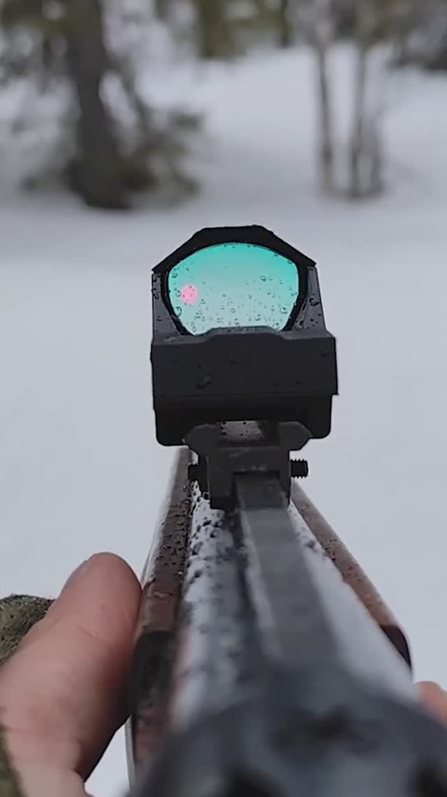 День на охоте в тайге