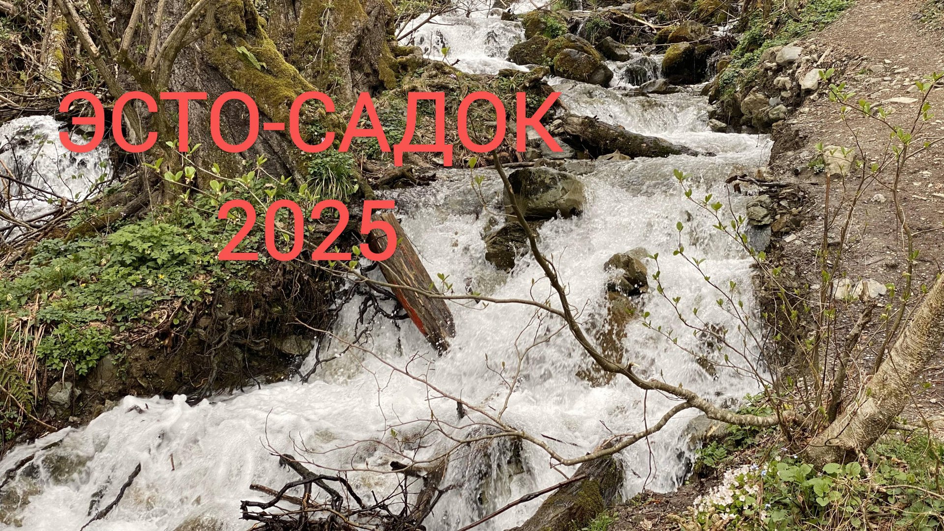 Эсто-Садок 2025. Горная тропа. Водопад Чек