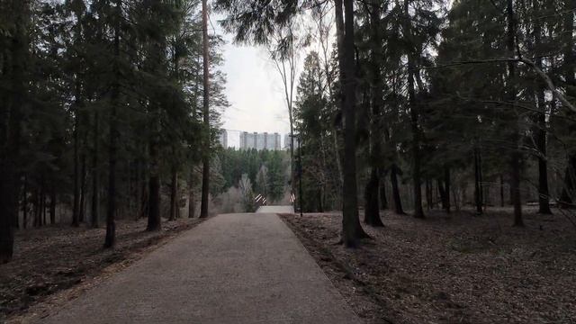 Прогулка 31 Марта 2025ч3