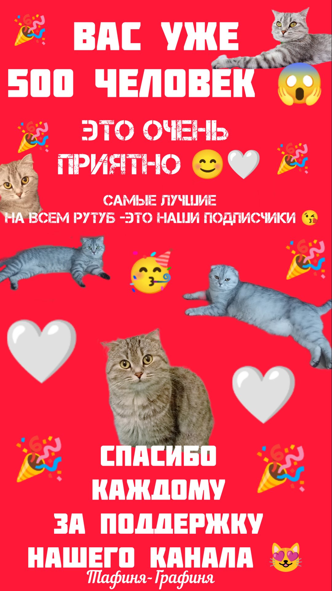 ❤️ Спасибо большое каждому из вас❤️