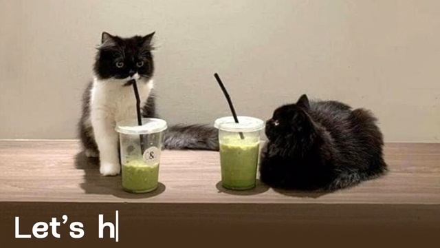 Модальный глагол Shall.