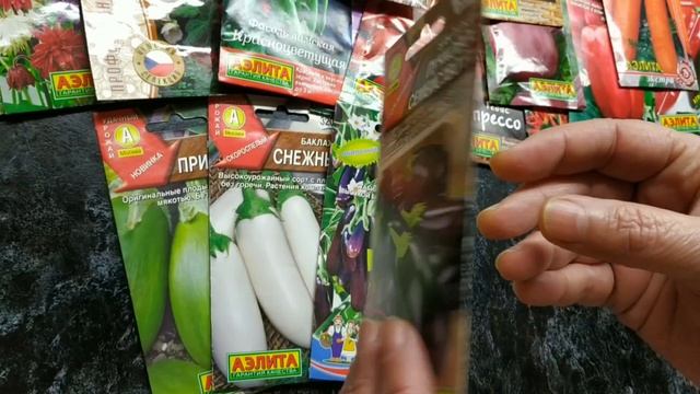 Баклажаны с редкими и необычными свойствами обзор семян