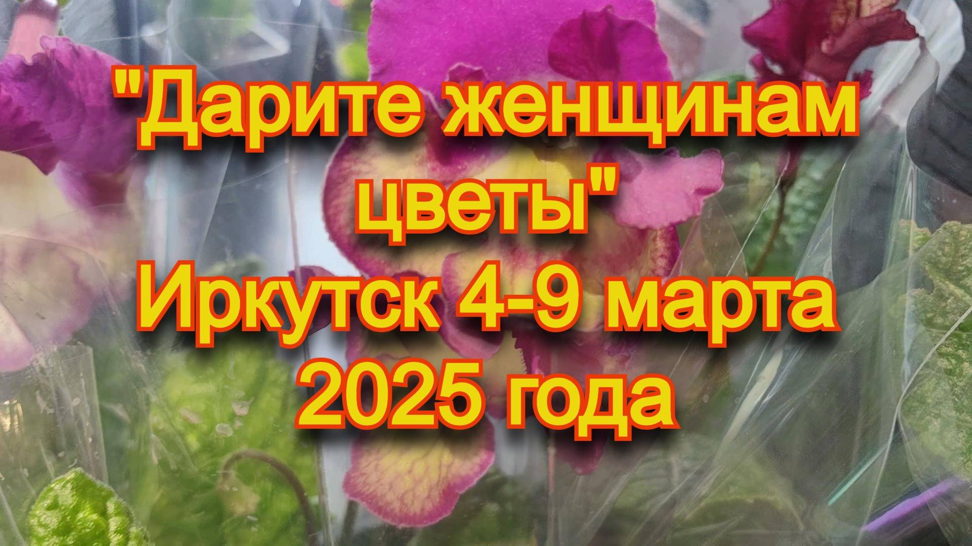 Картинки с выставки