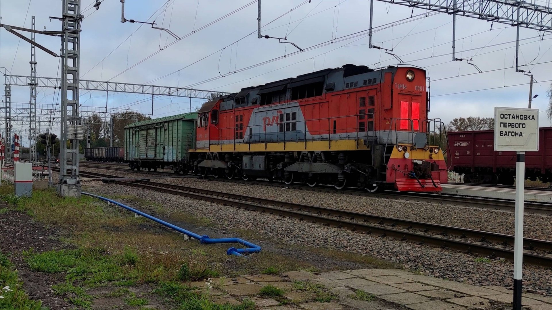 Железная дорога. Тепловоз ТЭМ14-0081.