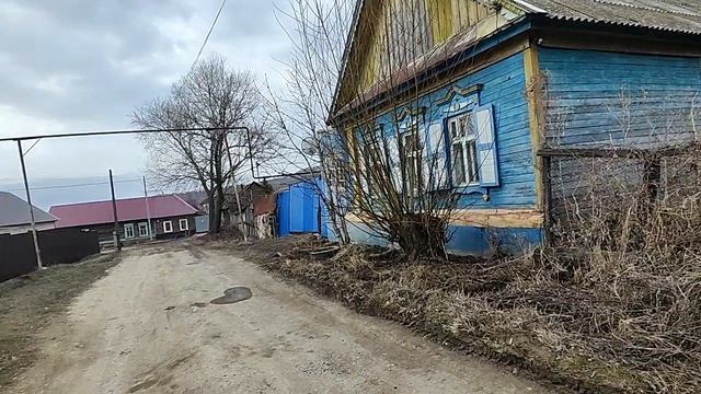 Бродячие животные, кормим кошек