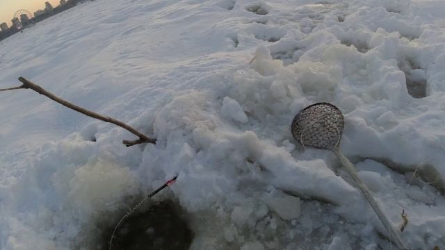 7,Ловим верхоглядов на подпуска.2021